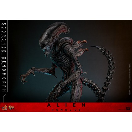 xenomorph skeleton romulus