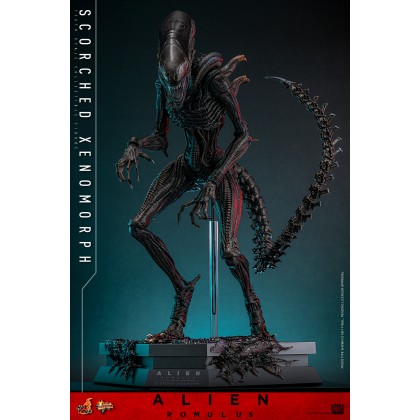 alien xenomorph hot
