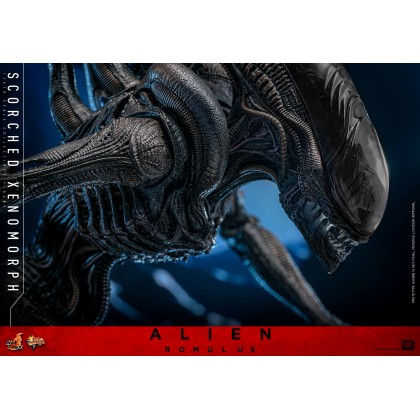 alien xenomorph hot